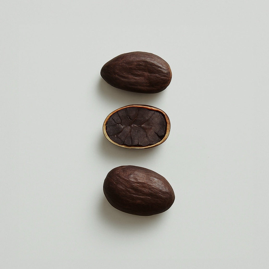 Cocoa Bean Polyphenol